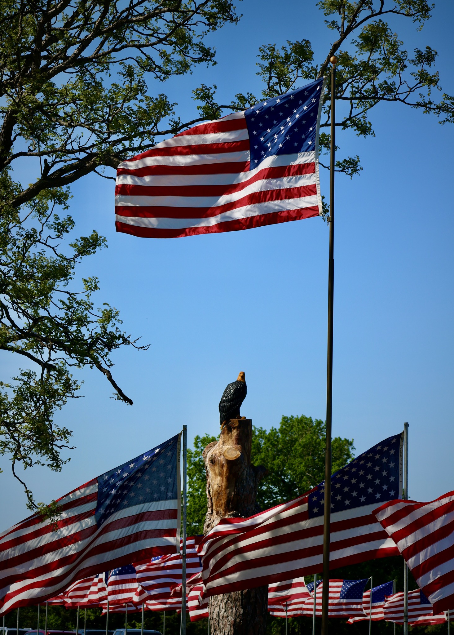 Discover - Boone County Development Agency